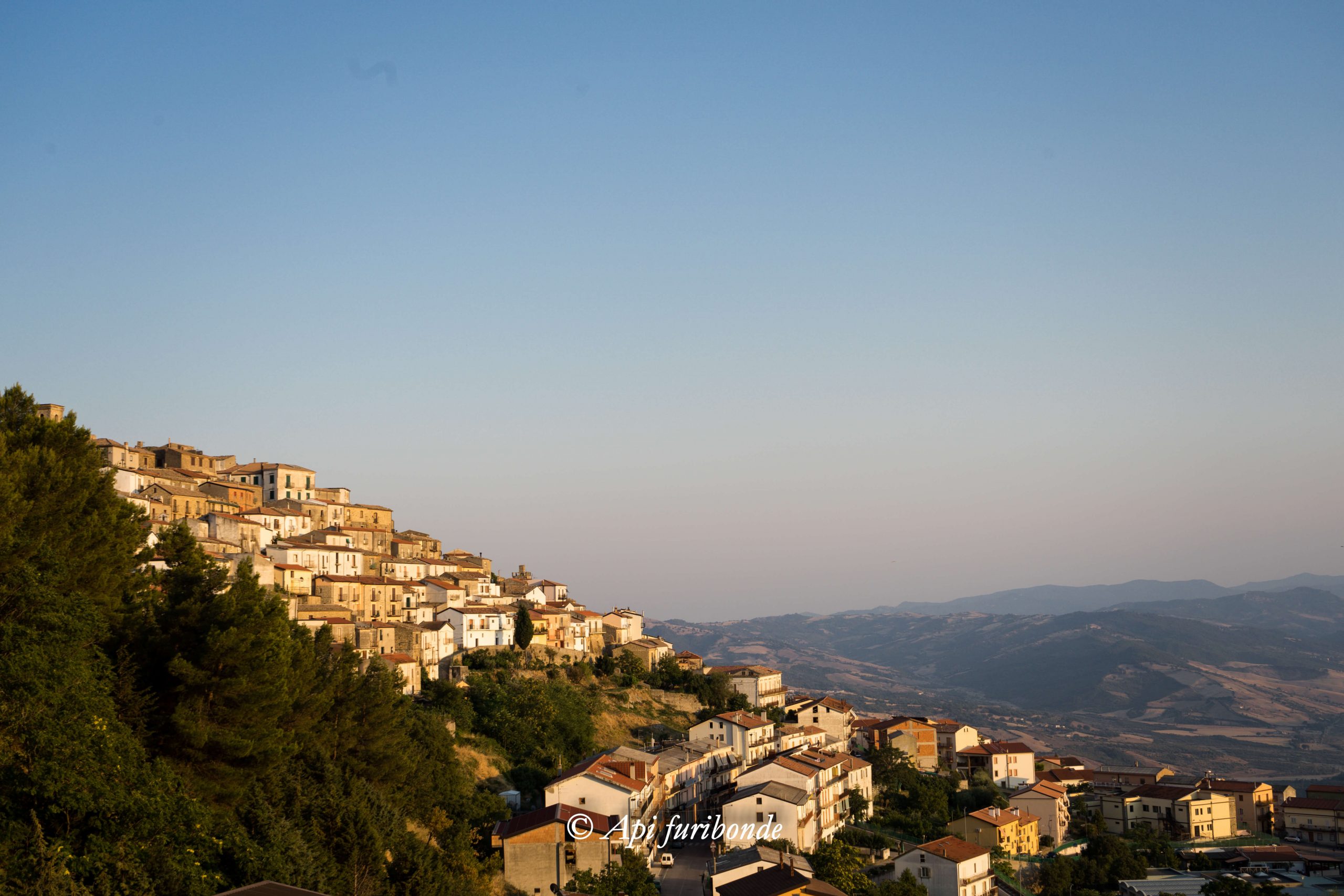 Colobraro e magia: che cosa non perdersi nel borgo lucano - Api furibonde